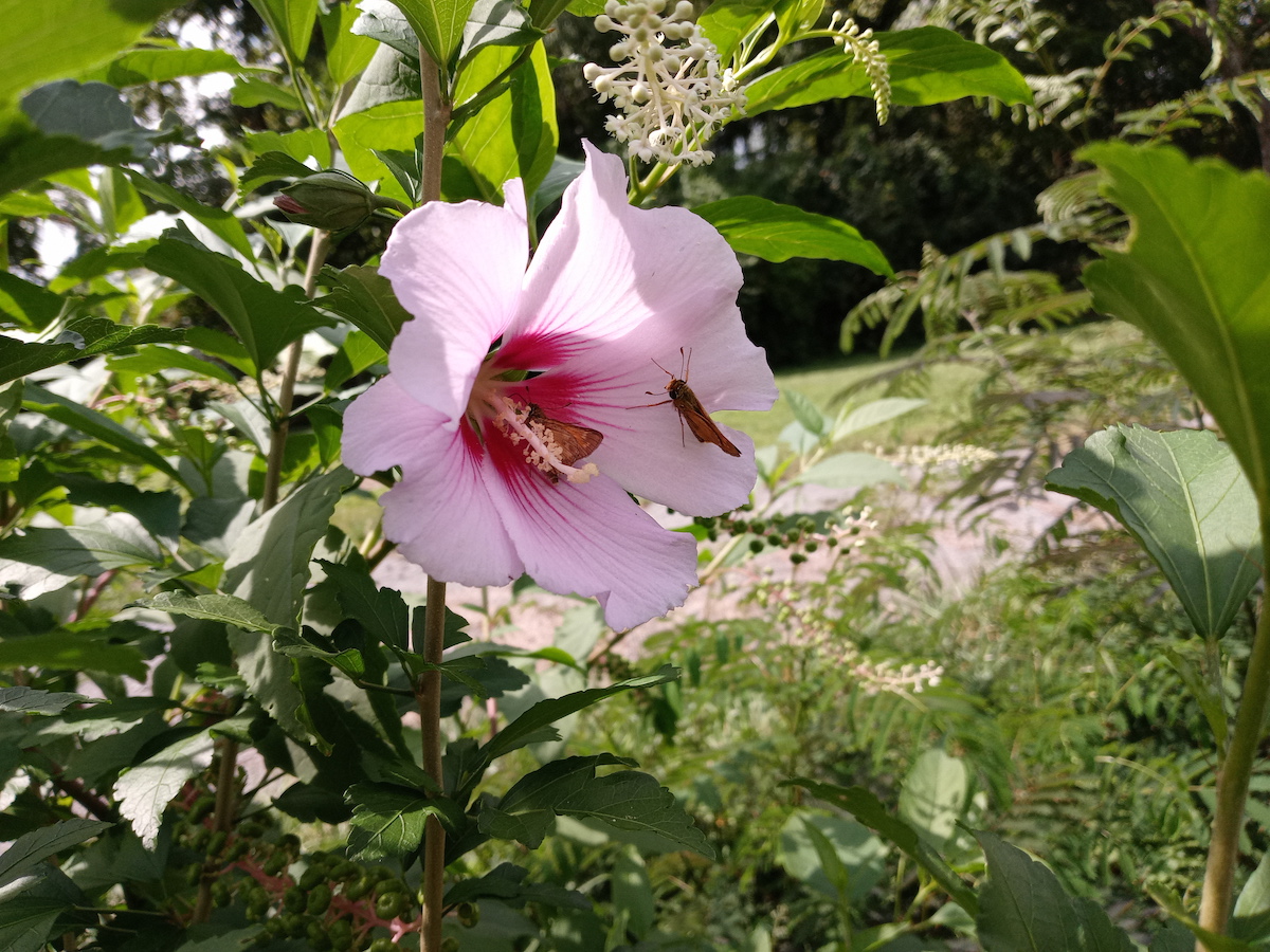 Hilariously Bad Dating Profiles – part 2 – Out of the Wilderness