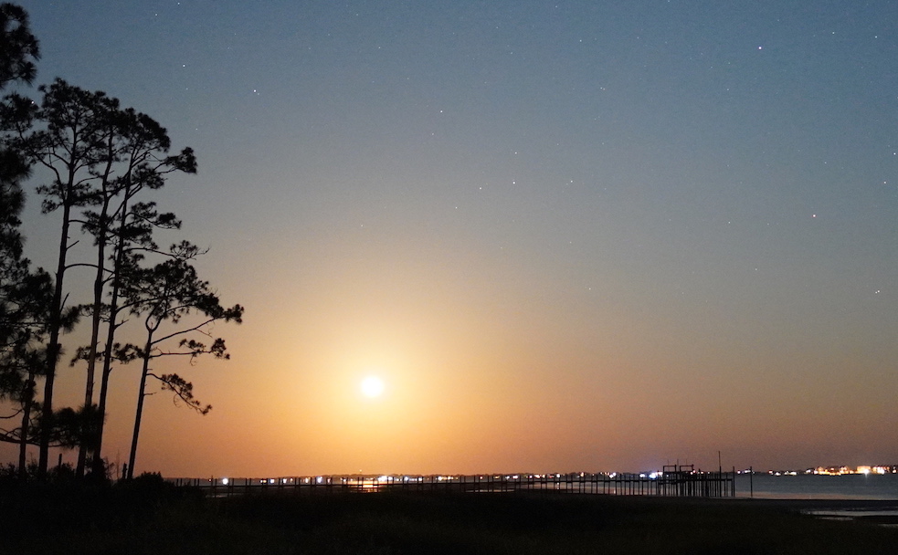 Astrophotography – Starry Night by the Gulf of Mexico – Out of the ...